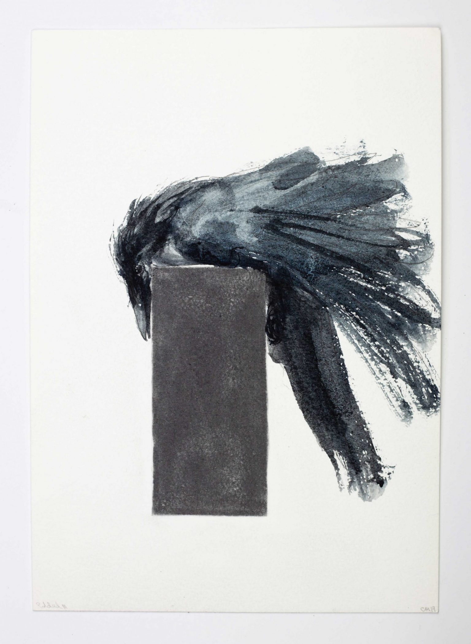 2019 | Claire Morgan