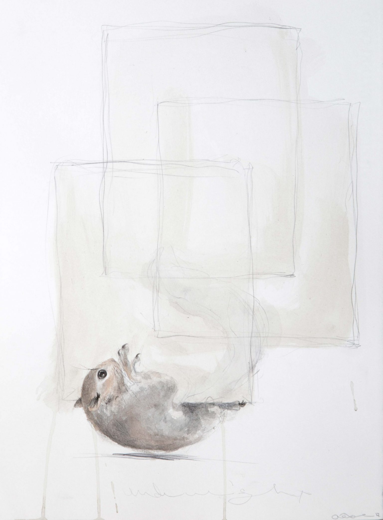 2017 | Claire Morgan