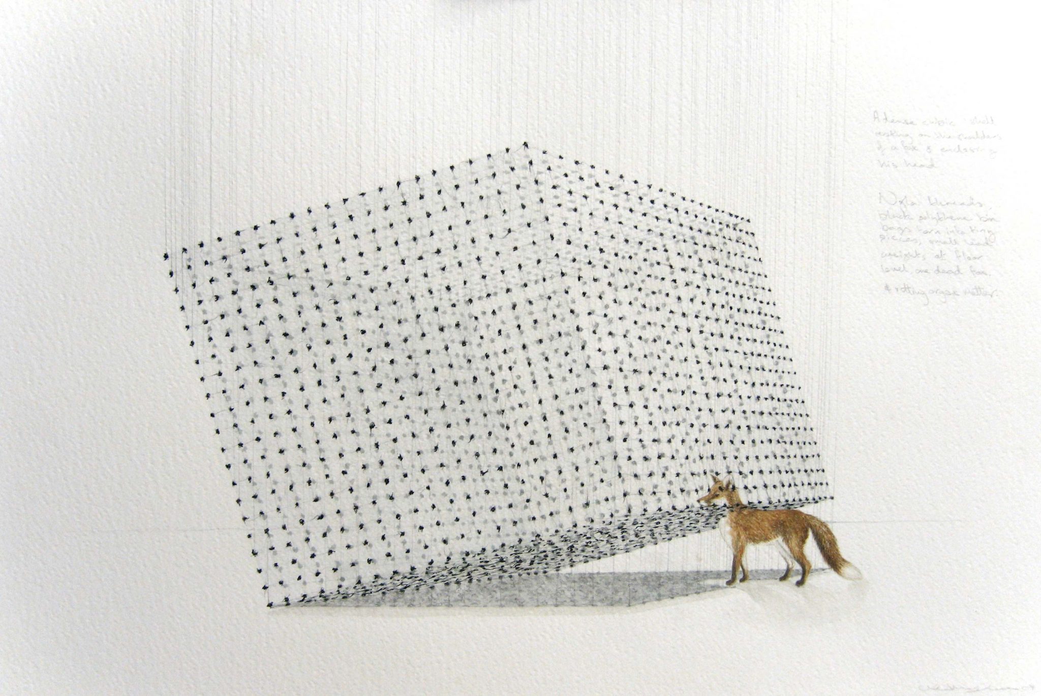 Archive | Claire Morgan