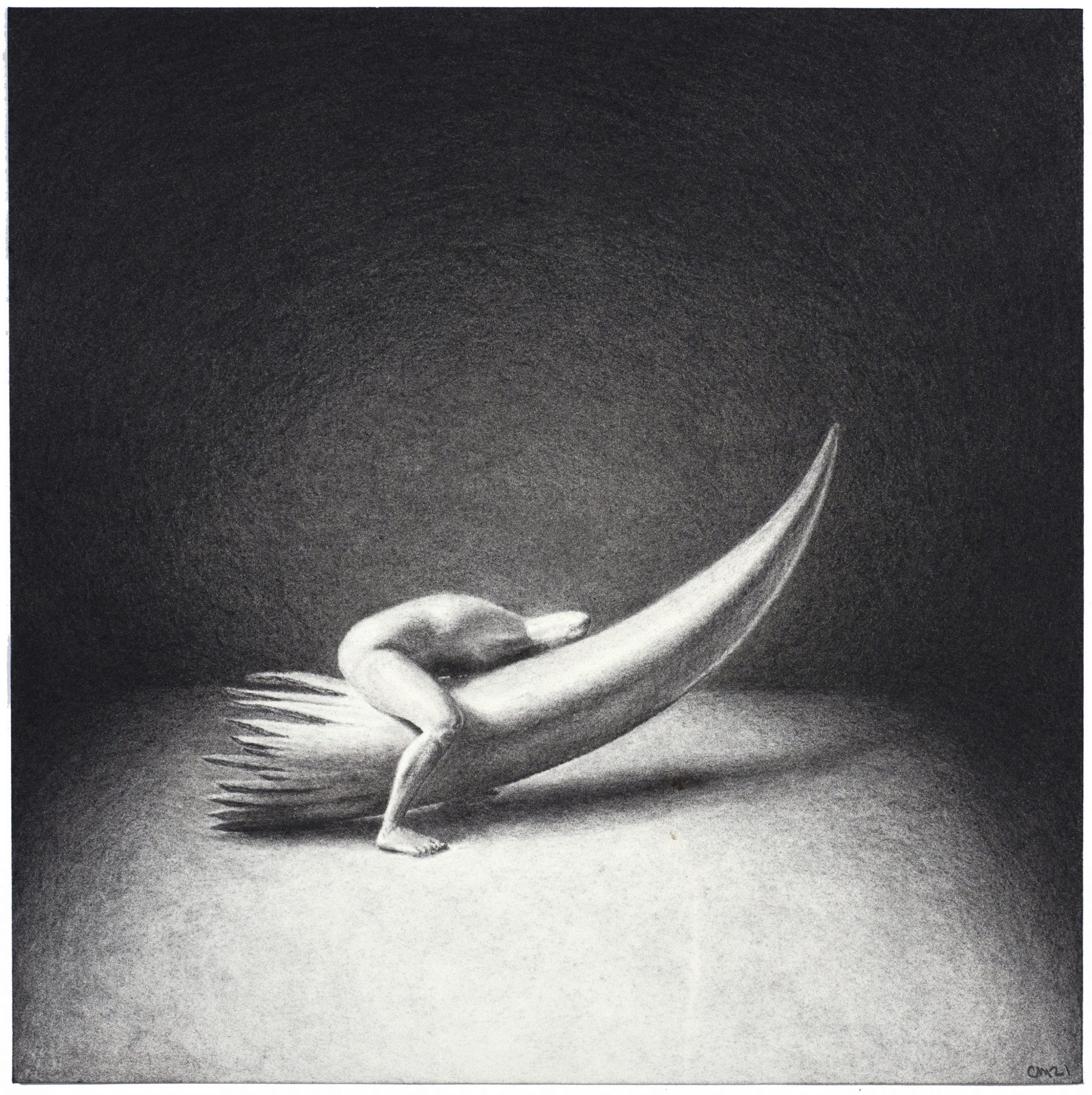 2021 | Claire Morgan